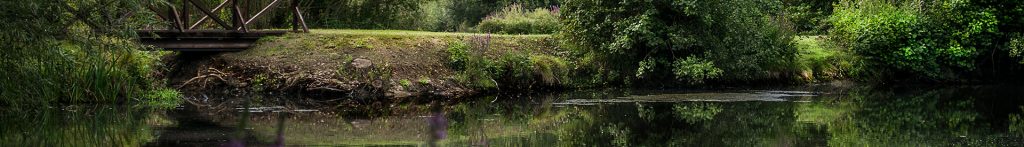 Pit 6 New Lake Exclusive - Twynersh Fishing Complex