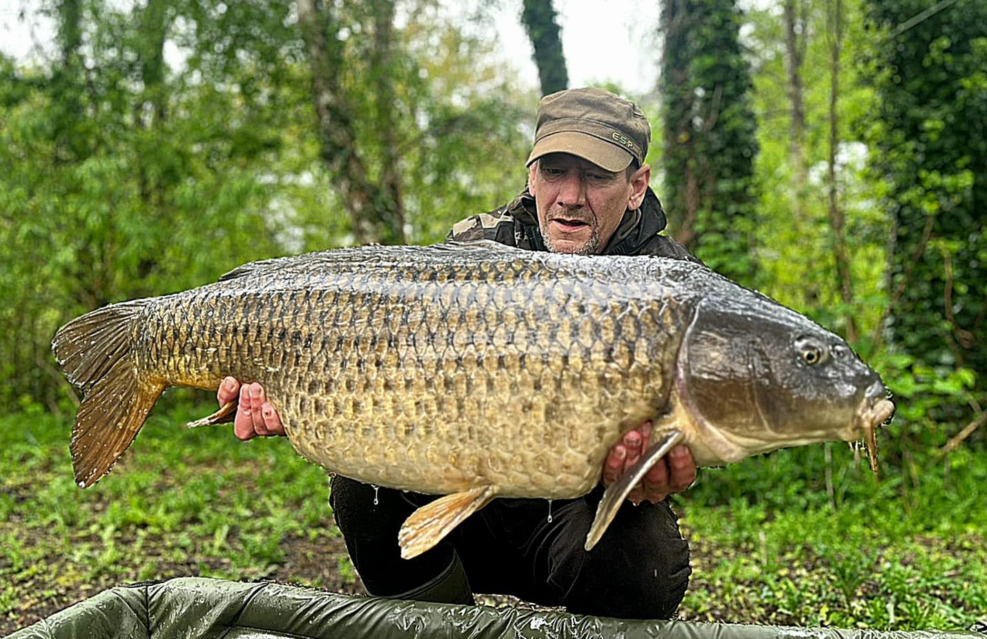 Pit 2 - Twynersh Fishing Complex